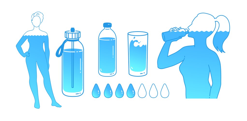 Set clean and fresh water in bottles glasses Vector Image