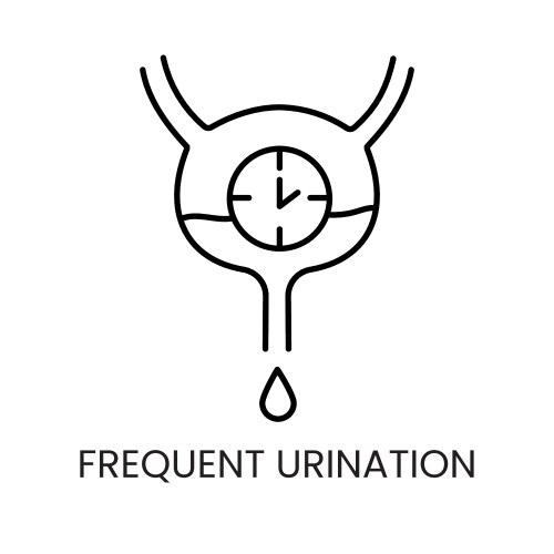 Diabetes symptom frequent urination line Vector Image
