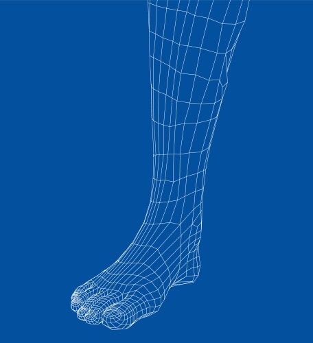 Leg Outline Vector Images (over 35,000)