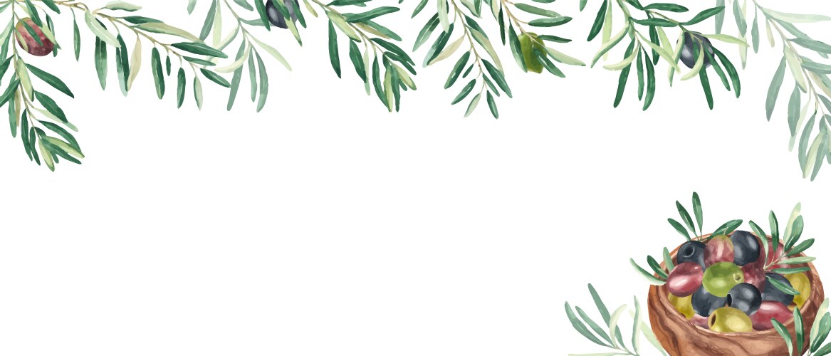 Horizontal frame border with olive branches Vector Image