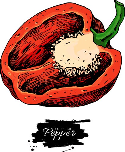 Capsicum Outline Vector Images (over 1,100)