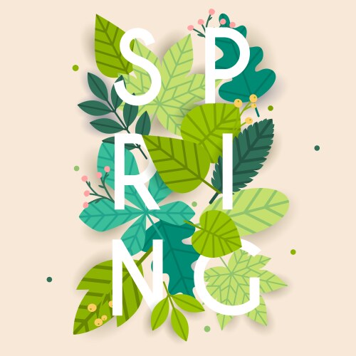 Spring frame Royalty Free Vector Image - VectorStock