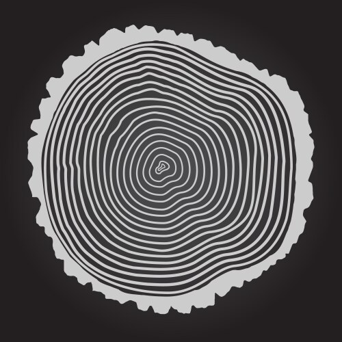 Tree trunk rings texture isolated Royalty Free Vector Image