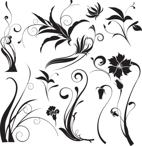 Floral design elements Royalty Free Vector Image