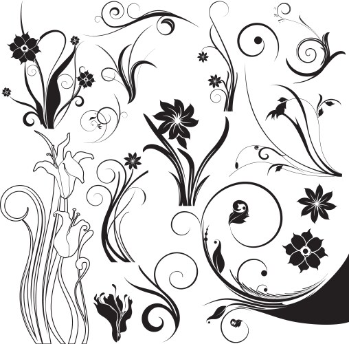 Floral design elements Royalty Free Vector Image
