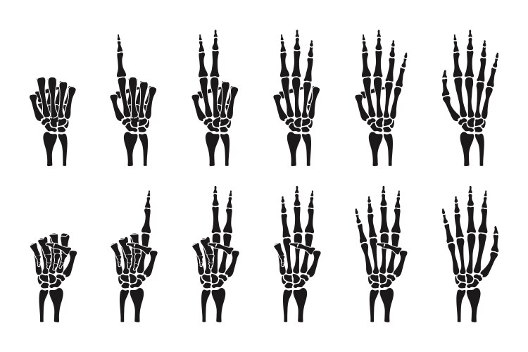Skeleton Hand Gesture Set Royalty Free Vector Image