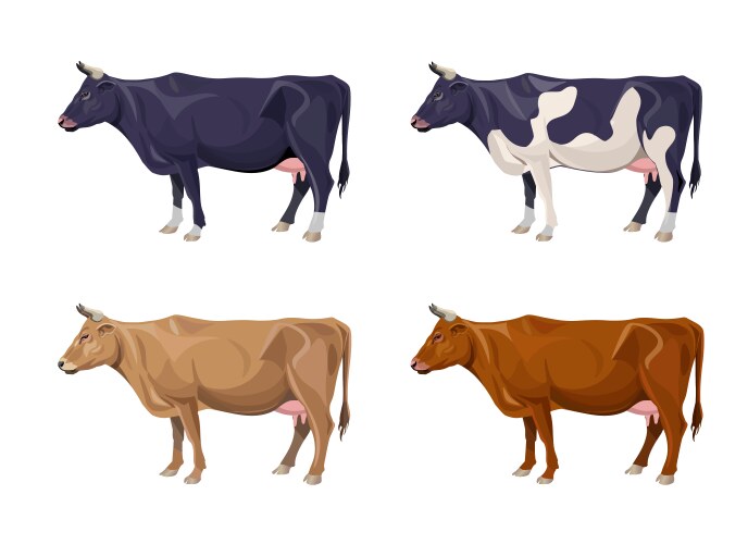 Different cows colors set Royalty Free Vector Image