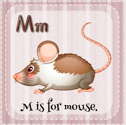 M Flashcards Vector Images (over 450)