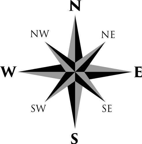 Star compass rose graphic design template Vector Image