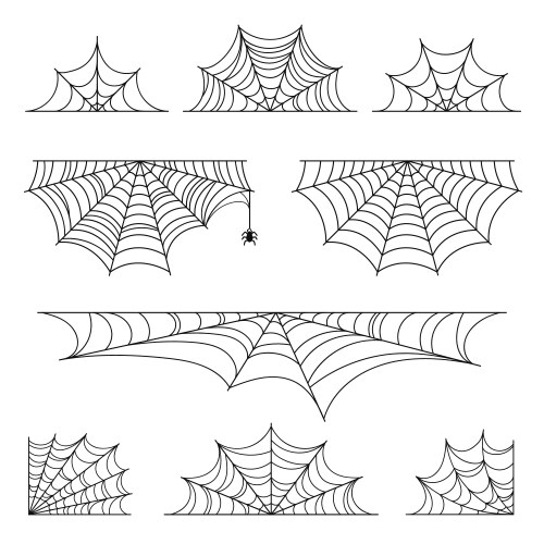 Hand drawn spider web halloween symbol cobweb Vector Image