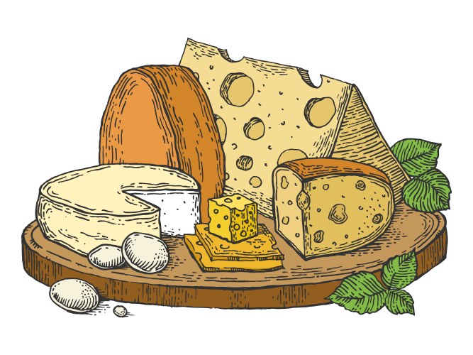Cheese Board Vector Images (over 5,900)