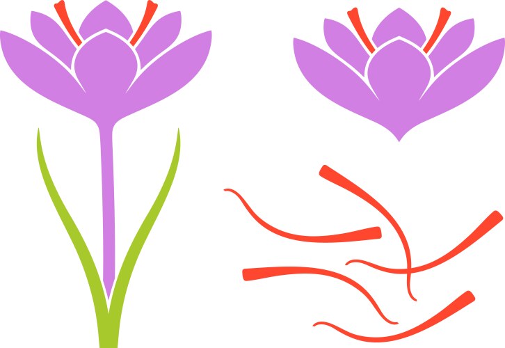 Saffron Vector Images (over 8,300)