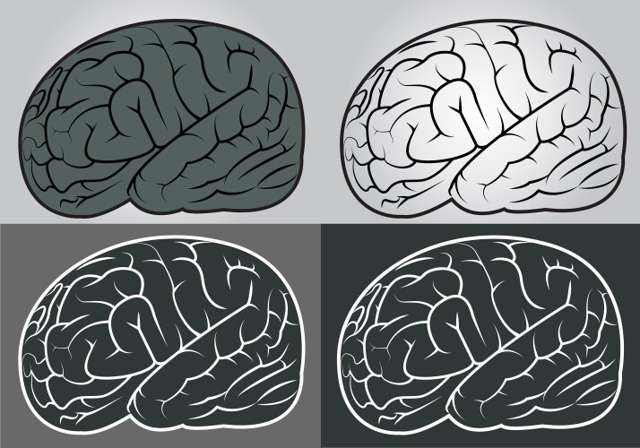 Brain Royalty Free Vector Image - VectorStock