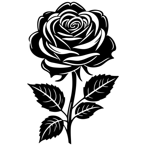 Rose Line Drawing Vector Images (over 26,000)