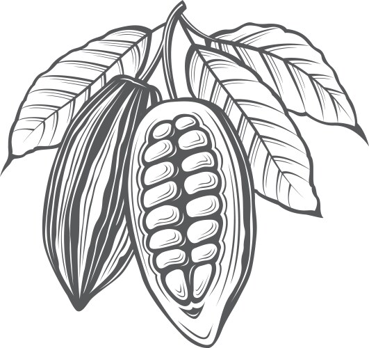 Cocoa Tree Vector Images (over 4,100)
