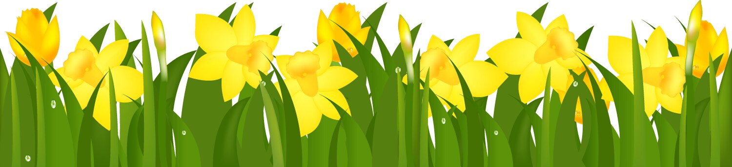 Spring grass seamless border floral Royalty Free Vector