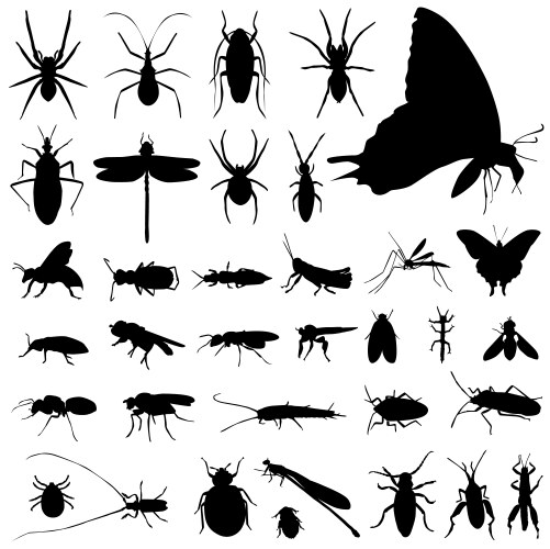 Insect Outlines Vector Images (over 55,000)