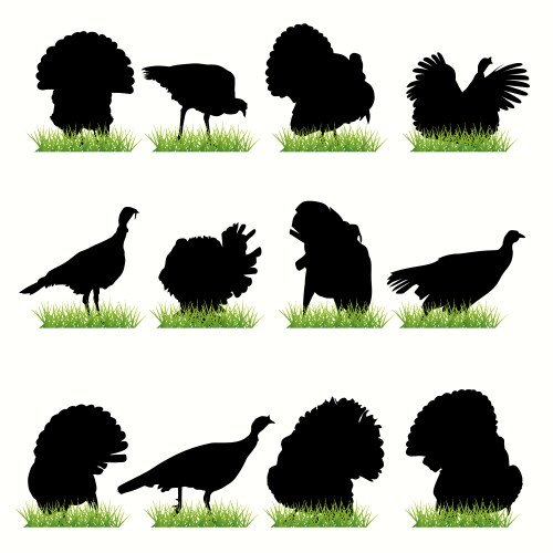 Turkey Vector Images (over 83,000)