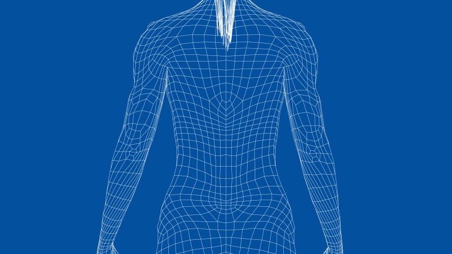 3d wireframe human body Royalty Free Vector Image
