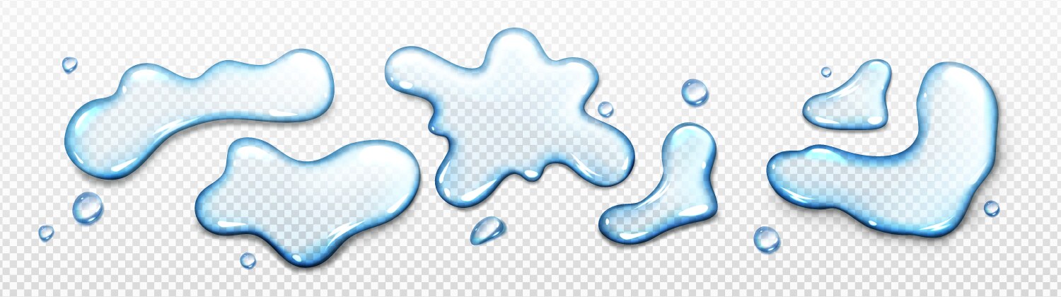 Realistic set of water puddles on transparent Vector Image