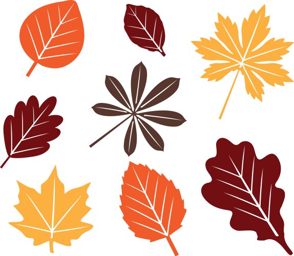 Autumn leaves Royalty Free Vector Image - VectorStock