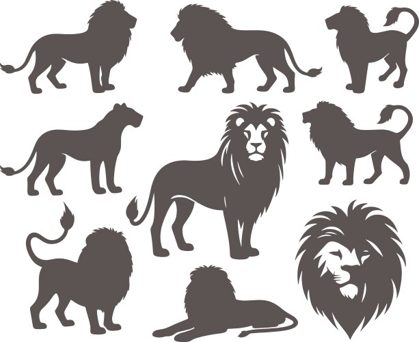 Lion Pride Vector Images (over 12,000)