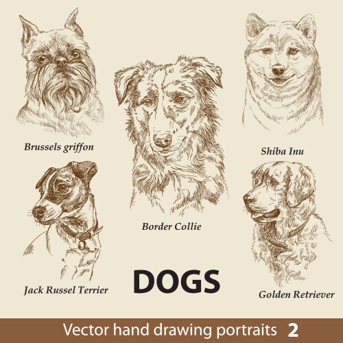 Set hand drawing dogs Royalty Free Vector Image