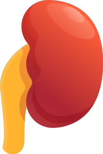 Adrenal Gland Cartoon Vector Images (over 220)