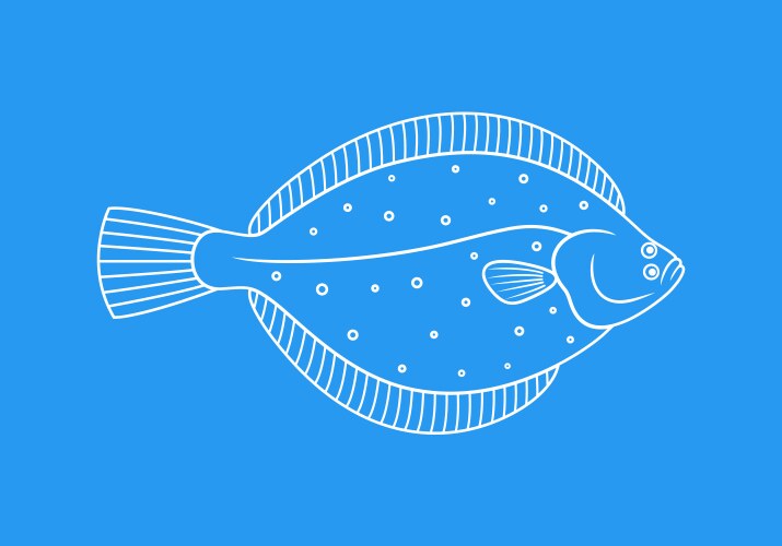 Flounder Vector Images (over 1,900)