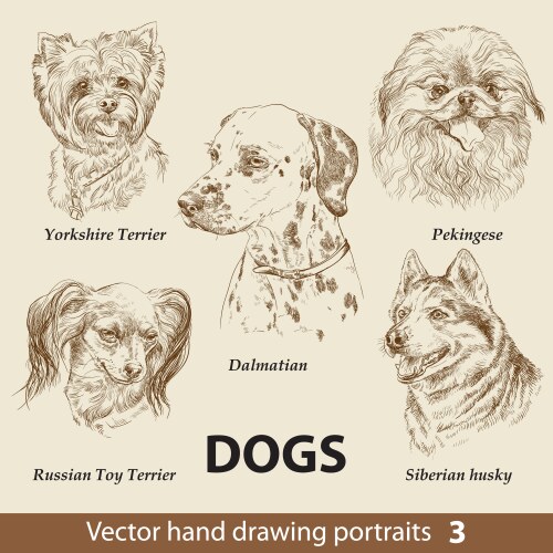 Set hand drawing dogs Royalty Free Vector Image