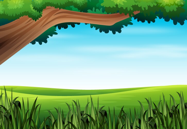 Cartoon of the forest scene with many trees Vector Image
