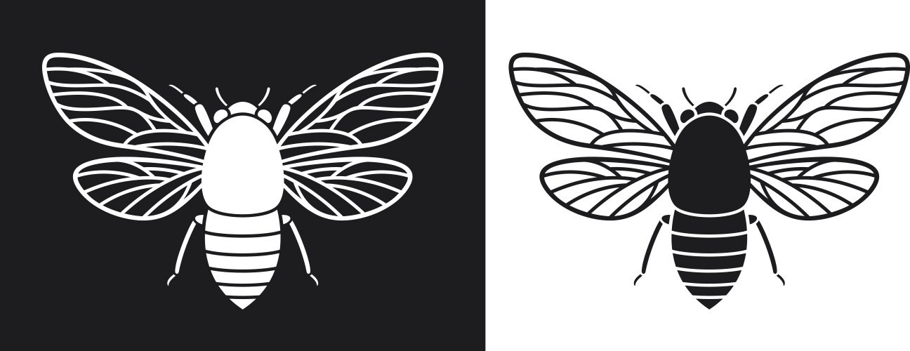 Cicada Silhouette Insect Vector Images (96)