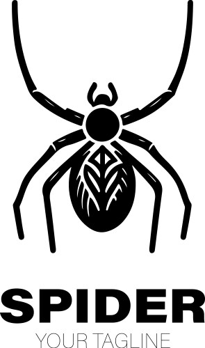 Spider logo design brand Royalty Free Vector Image
