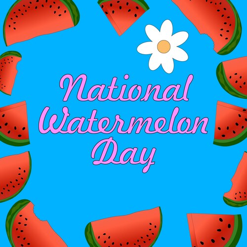 National watermelon day coloring page Royalty Free Vector