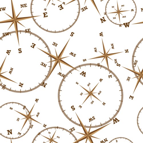 Rose Royalty Free Vector Image - VectorStock