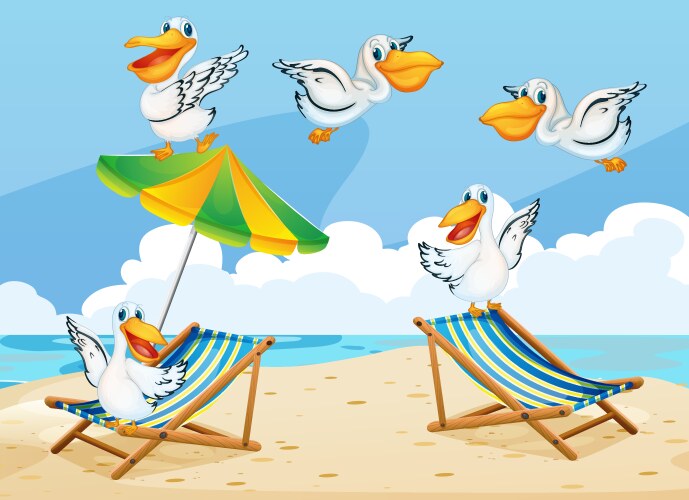 Beach Scene Birds Vector Images (over 730)