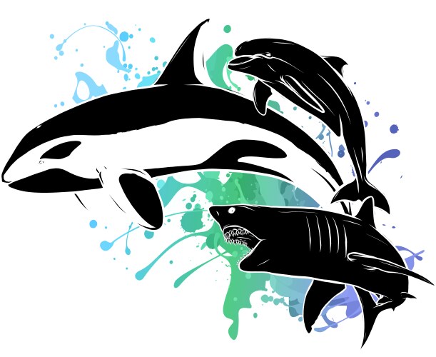 Whale Shark Cartoon Vector Images (over 4,000)