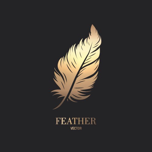 Fluffy golden color feather logo icon Royalty Free Vector
