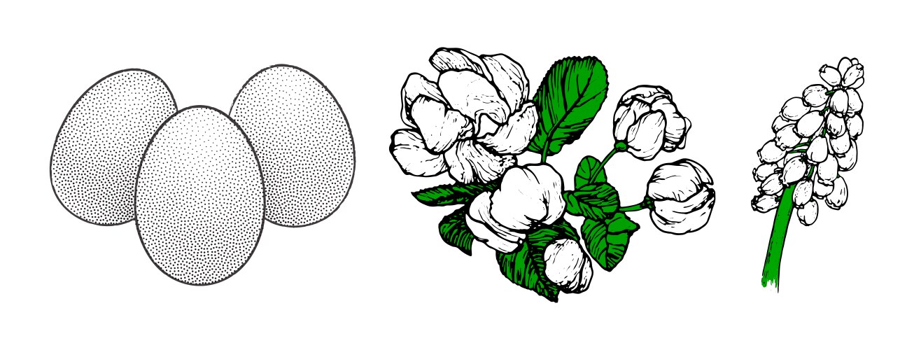 Spring flowers drawing with line-art on white Vector Image