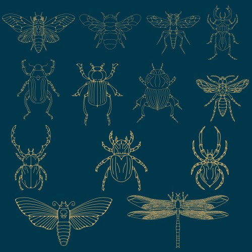 Set of insects Royalty Free Vector Image - VectorStock