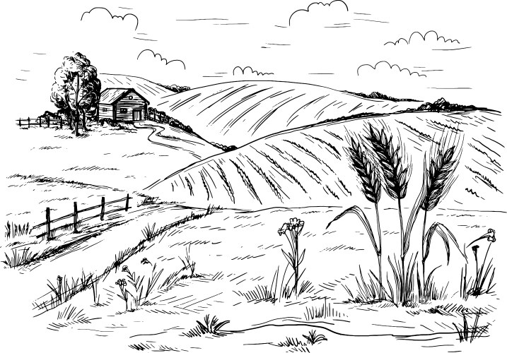 Rural Vector Images (over 160,000)