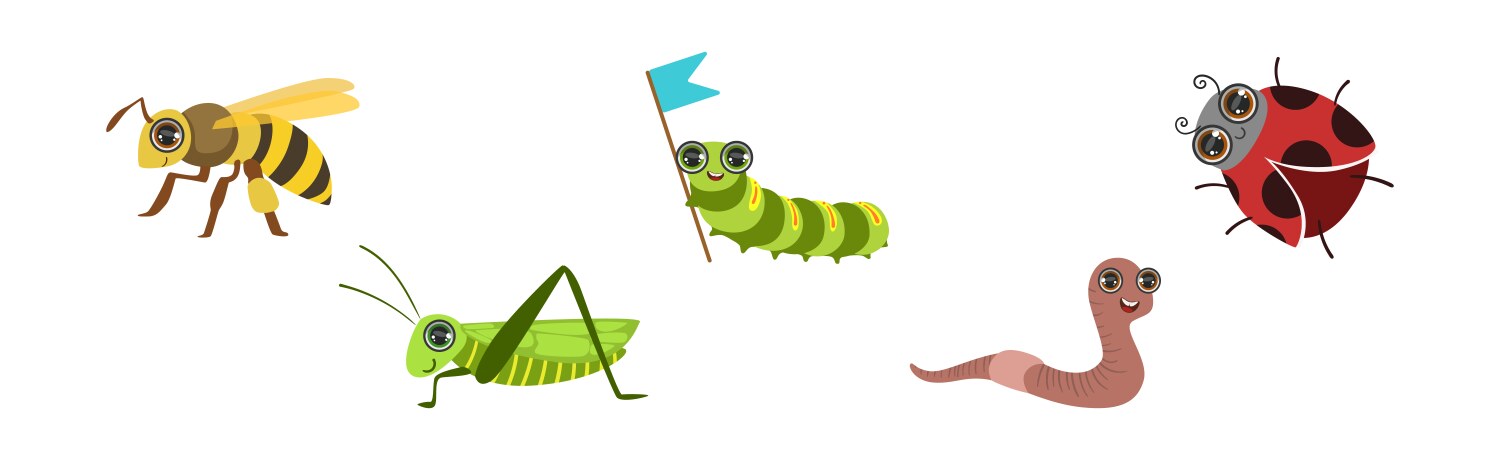 Funny insect character with cute smiling face Vector Image