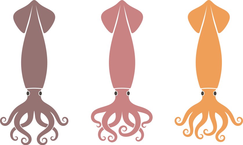 Squid Royalty Free Vector Image - VectorStock