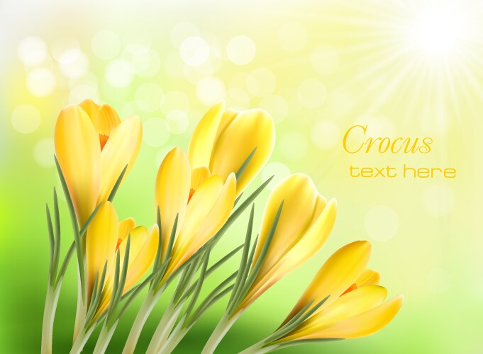 Green and Yellow Border Vector Images (over 22,000)