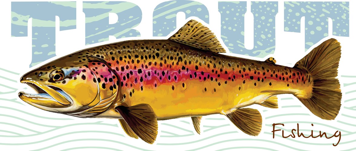 Trout Vector Images (over 13,000)