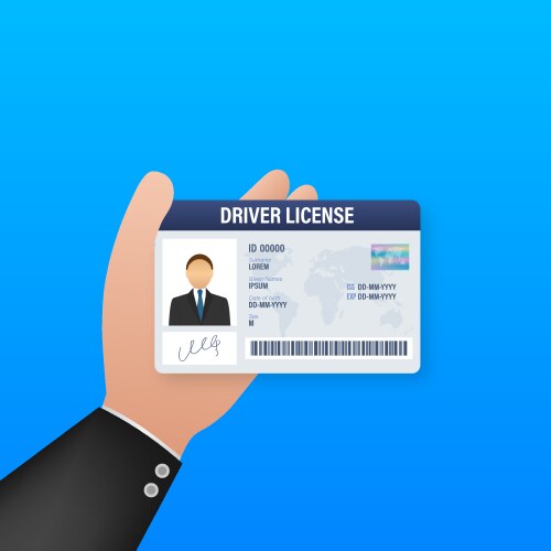 Driver license Royalty Free Vector Image - VectorStock