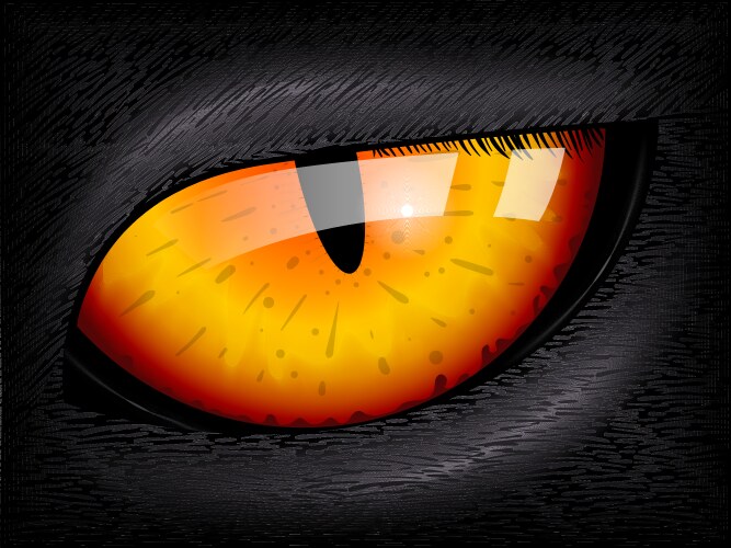Cat eyes Royalty Free Vector Image - VectorStock