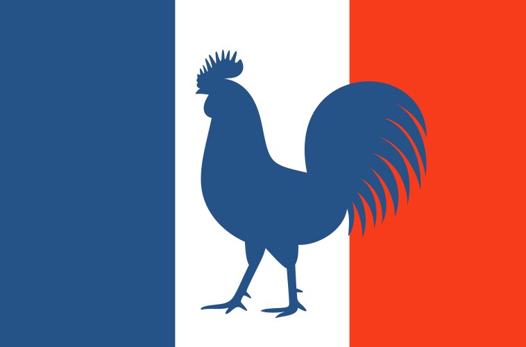 Gallic rooster Royalty Free Vector Image - VectorStock