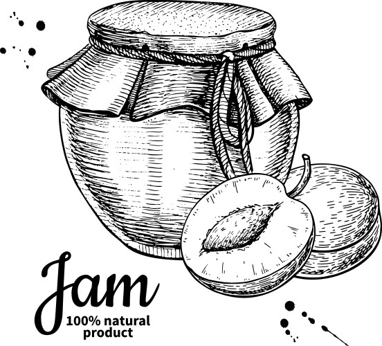 Fruit jam glass jar drawing jelly Royalty Free Vector Image