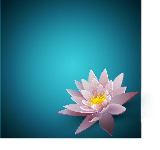 Water lilies Royalty Free Vector Image - VectorStock